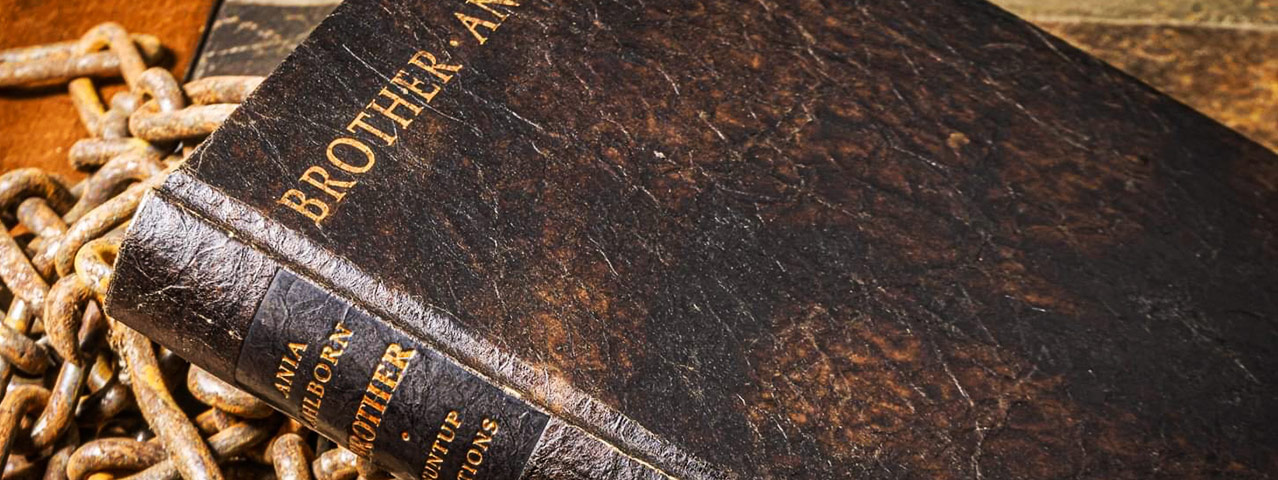 Announcing: Brother by Ania Ahlborn - Suntup Editions