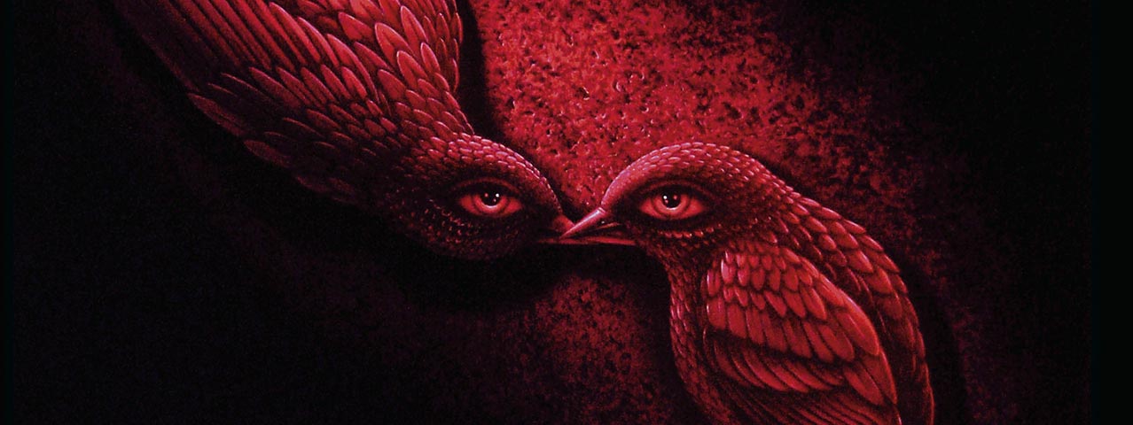 The Covers Collection - The Dark Half (Paperback) - Suntup Editions