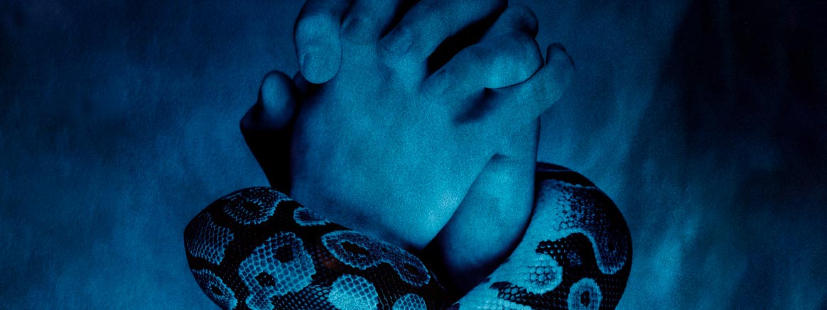 Kin & Cottonmouth by Kealan Patrick Burke - Suntup Editions